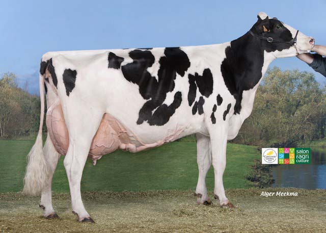 Palmarès du concours Ferme Expo Tours 2013 | Prim’Holstein France