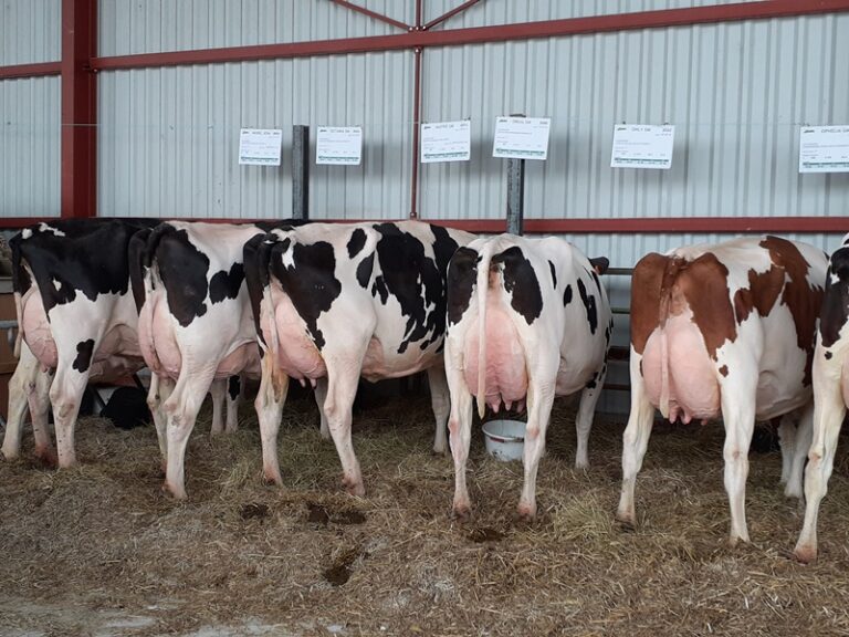 20220315_153524 | Prim’Holstein France