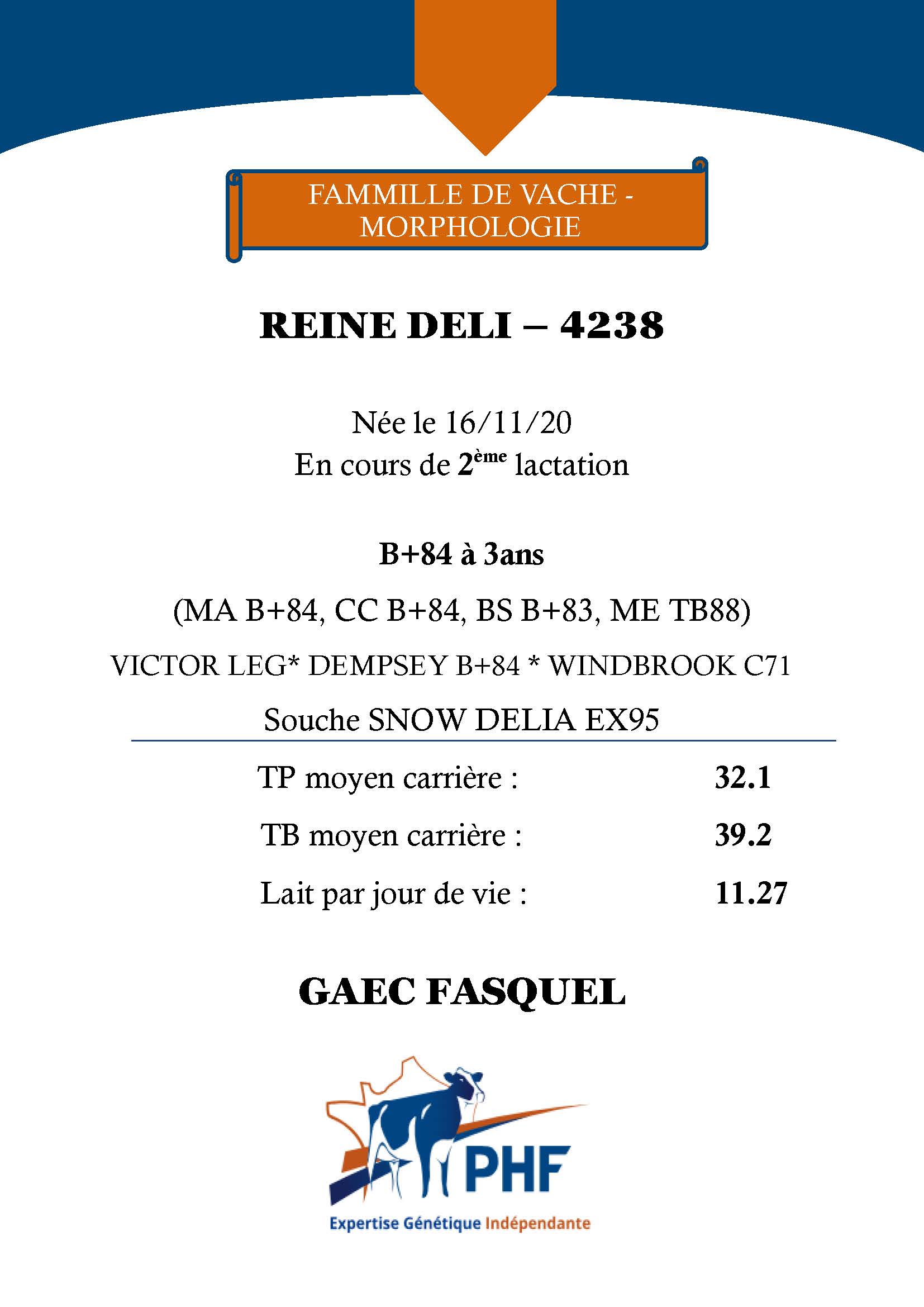 AG-62-GAEC-FASQUEL-N°3_REINE-DELI_Page_14 | Prim’Holstein France
