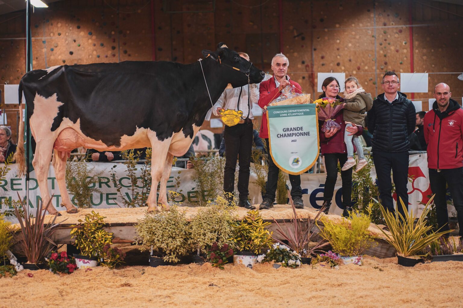 Prim'Holstein France | Association française des éleveurs de la race ...