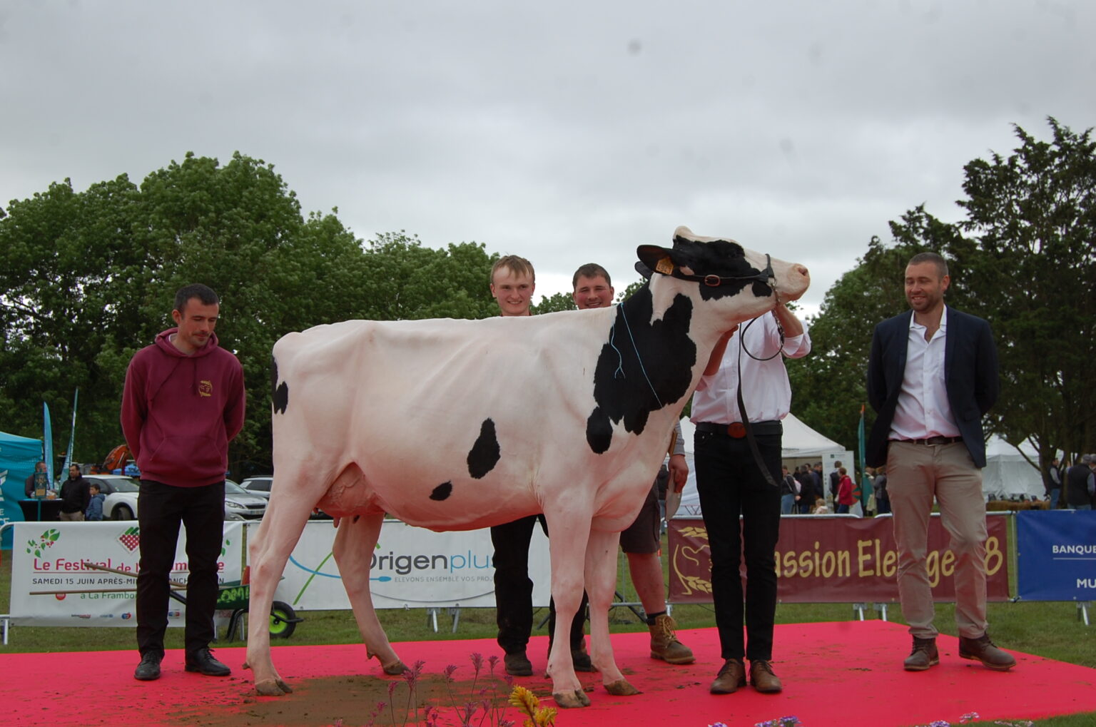 Prim'Holstein France | Association française des éleveurs de la race ...