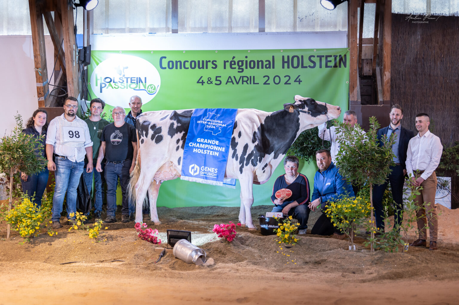 Prim'Holstein France | Association française des éleveurs de la race ...