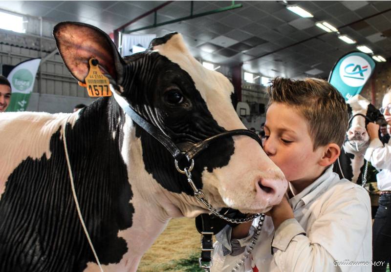 Meilleur présentateur Lucas Migot | Prim’Holstein France