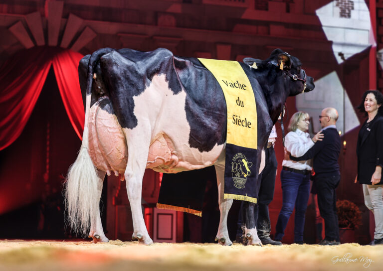 Palmarès du centenaire PHF | Prim’Holstein France