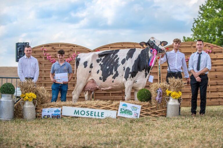 championne adulte | Prim’Holstein France