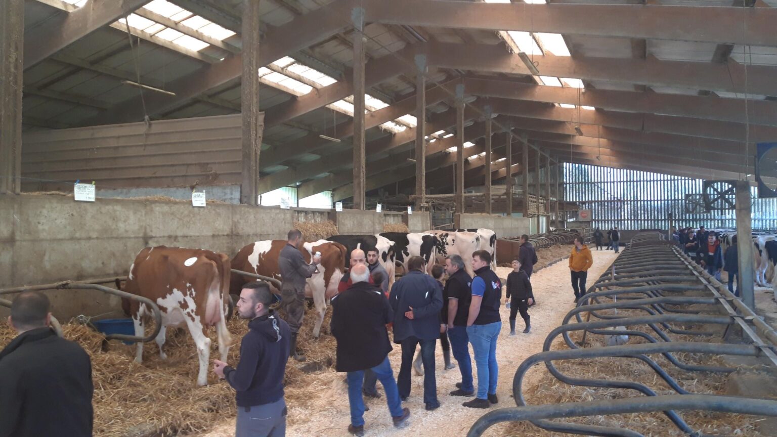 Prim'Holstein France | Association française des éleveurs de la race ...