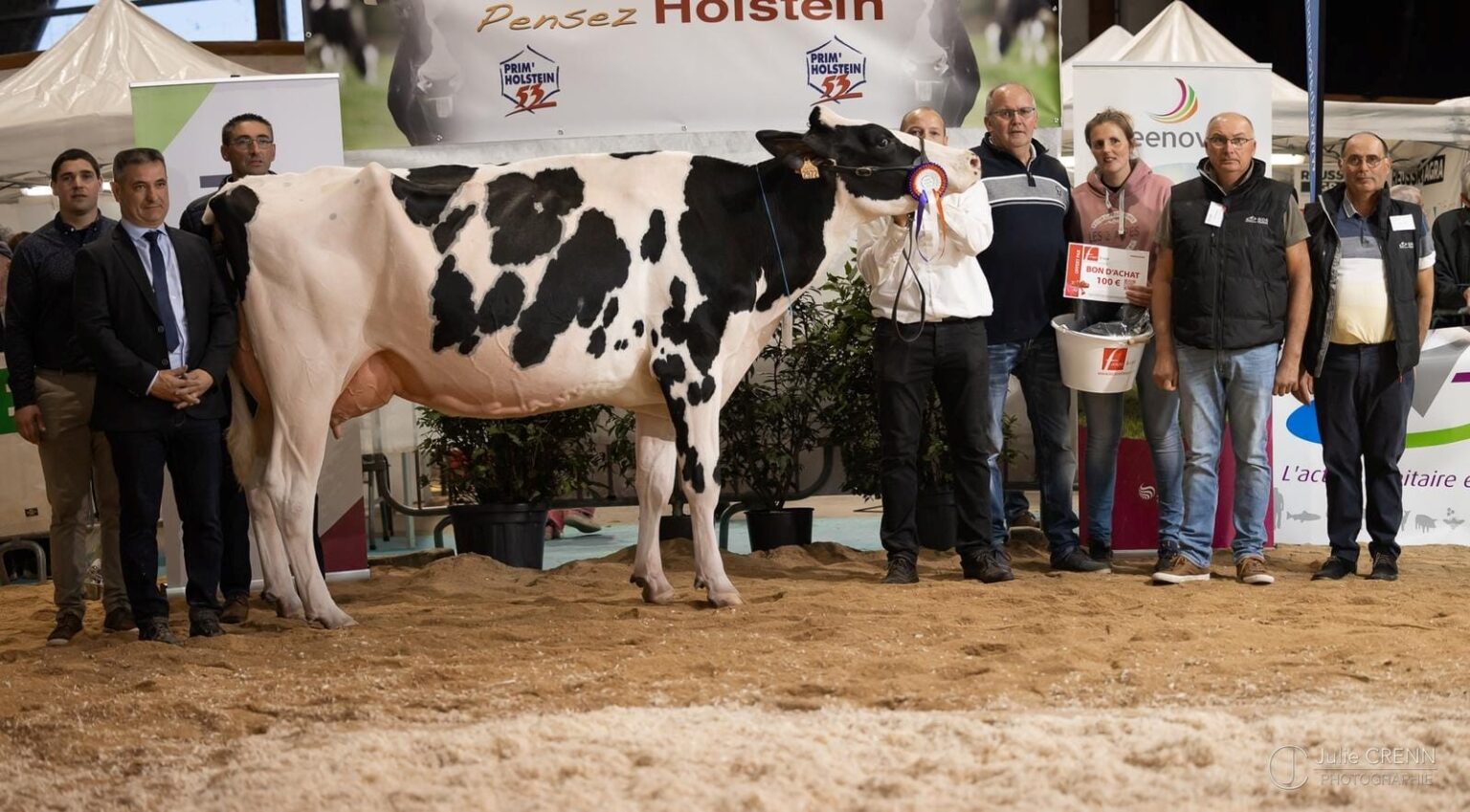 grande-championne | Prim’Holstein France