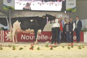 Prim'Holstein France | Association française des éleveurs de la race ...
