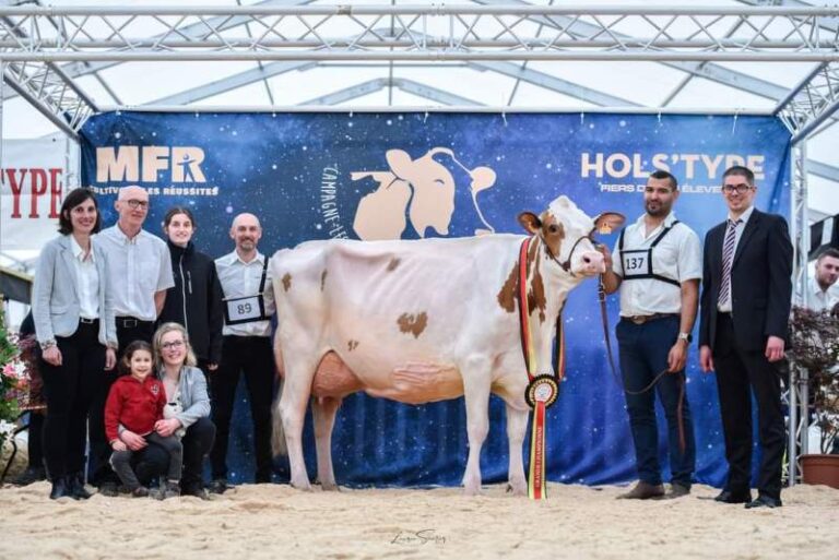 Prim'Holstein France | Association française des éleveurs de la race ...