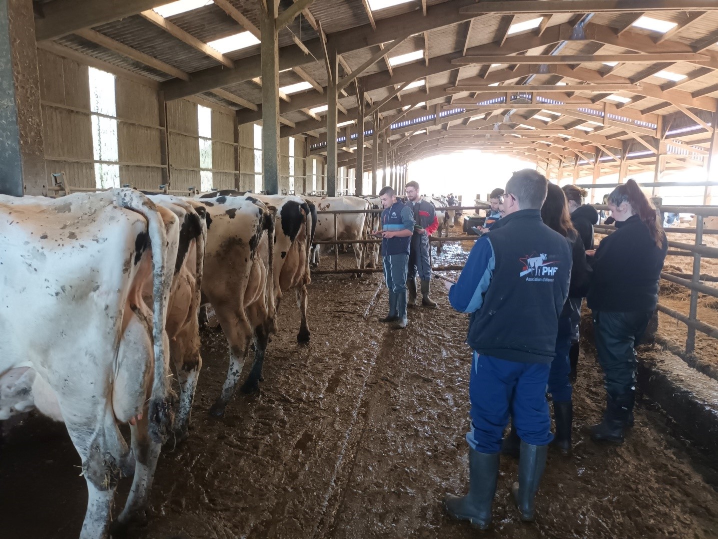 Harmonisation de pointage 2024 | Prim’Holstein France