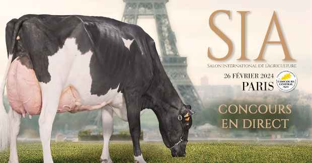 SIA 2024 : le concours et l’épreuve tmpr en direct | Prim’Holstein France