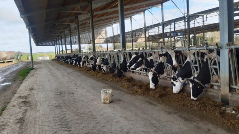 Prim'Holstein France | Association française des éleveurs de la race ...