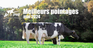 visuel-pointage-mai-2024 | Prim’Holstein France